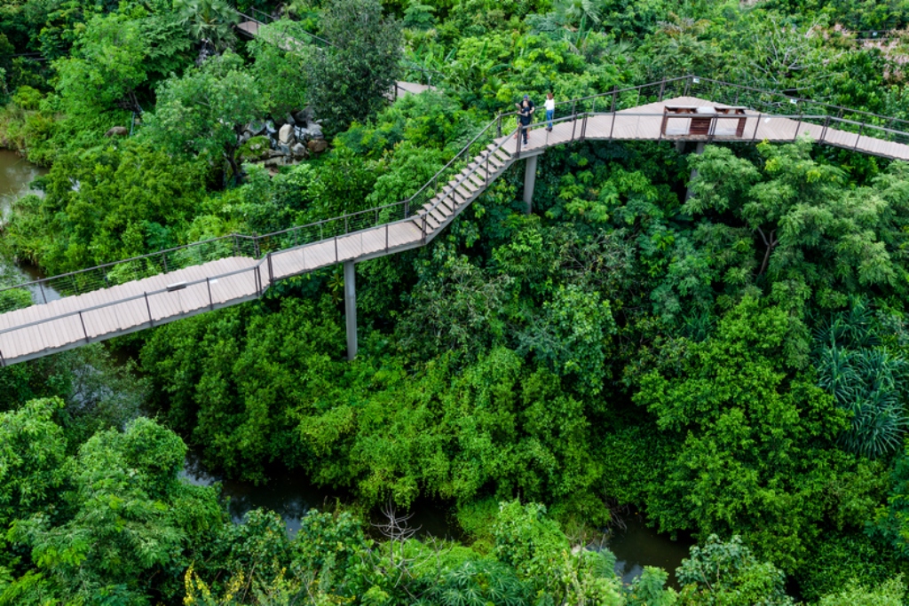 メトロフォレストで都会の森林浴 | 4人家族で見るバンコク